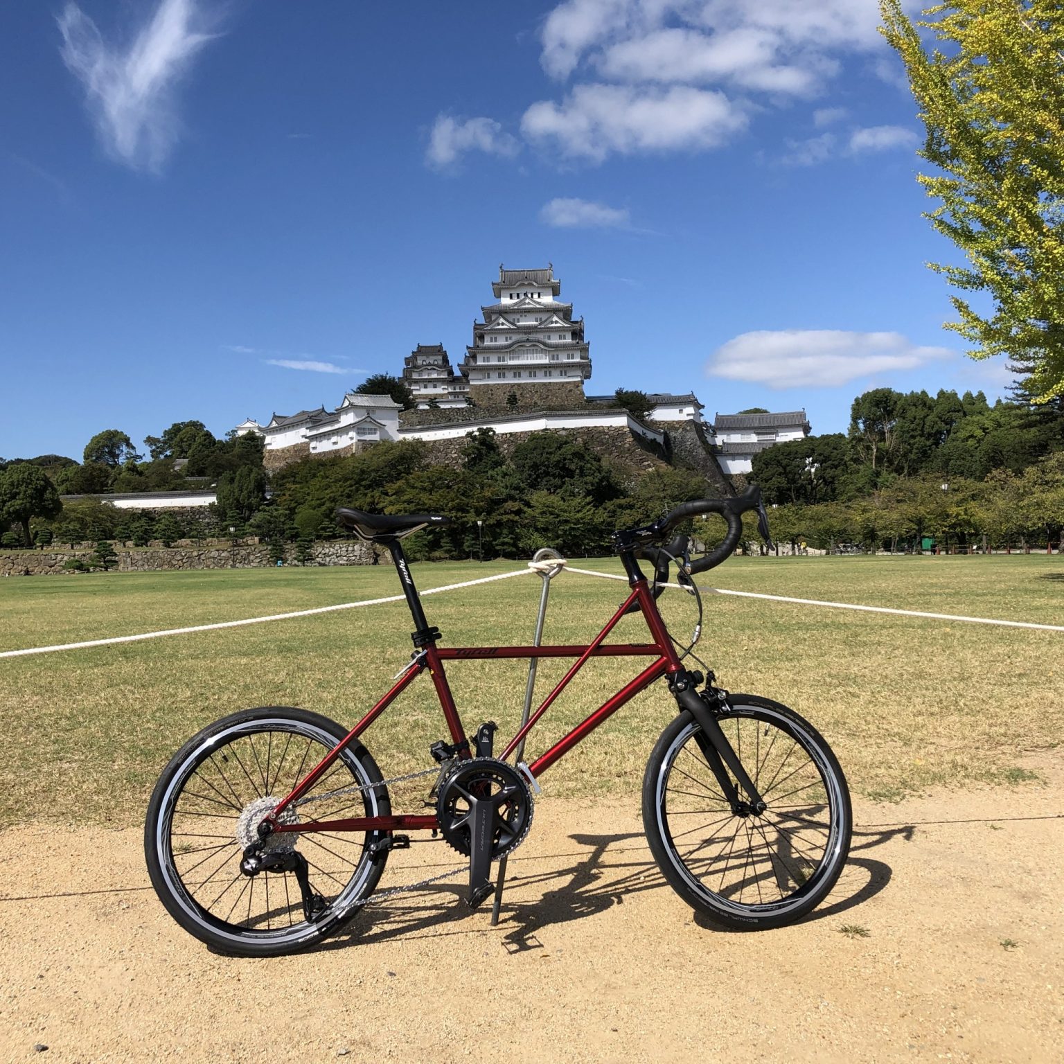 乗ることの楽しさを感じれる♪ -Tyrell FCX- – cyclemark サイクルマーク