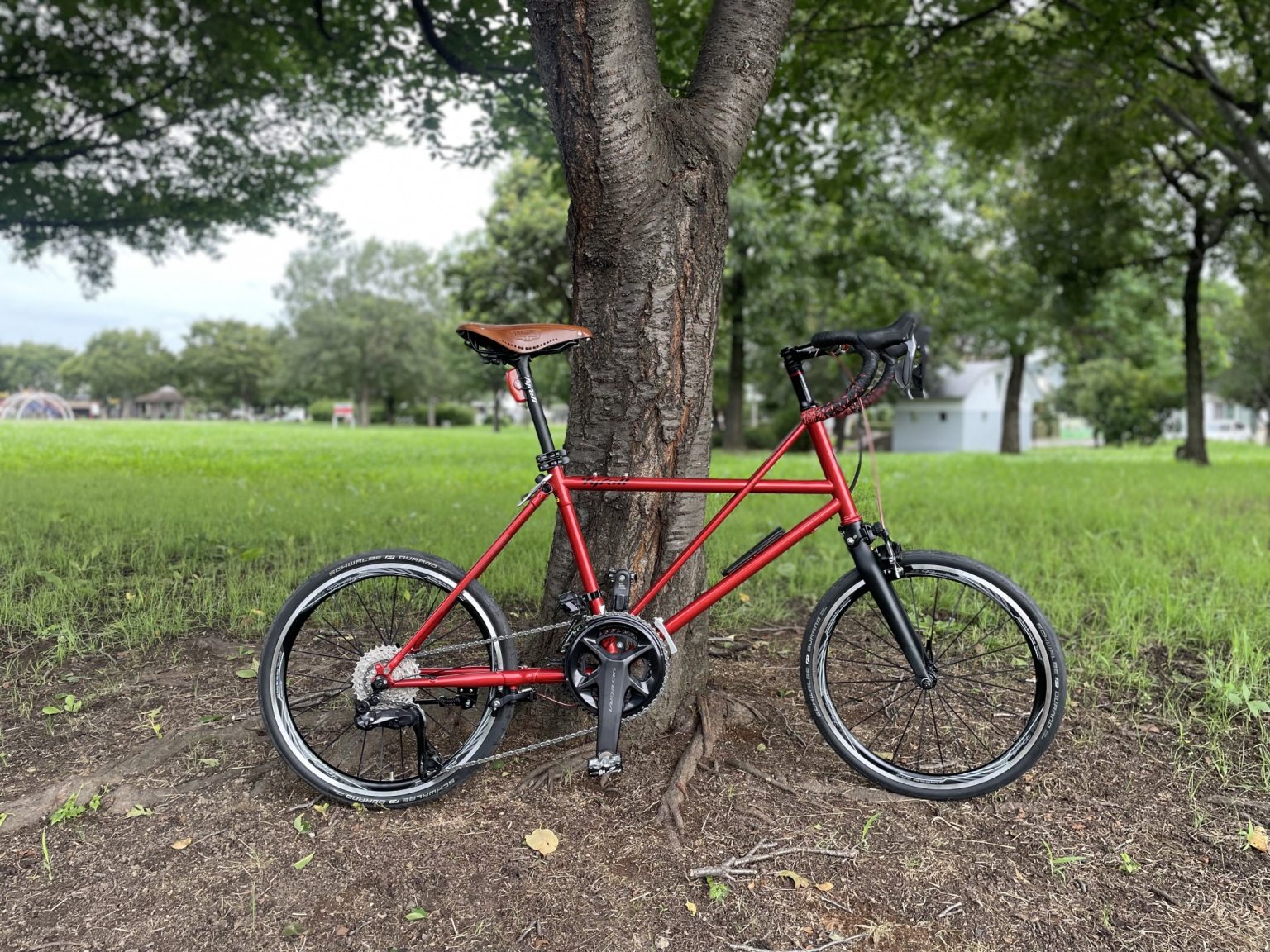 Tyrell FCX 納車 -2ndロットのご紹介- – cyclemark サイクルマーク